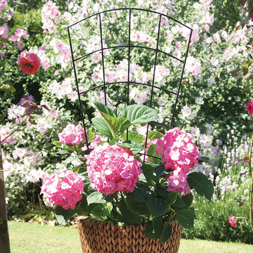 37 in. Pewter Steel Pot Trellis | Gardenwares - Peak Products (USA)