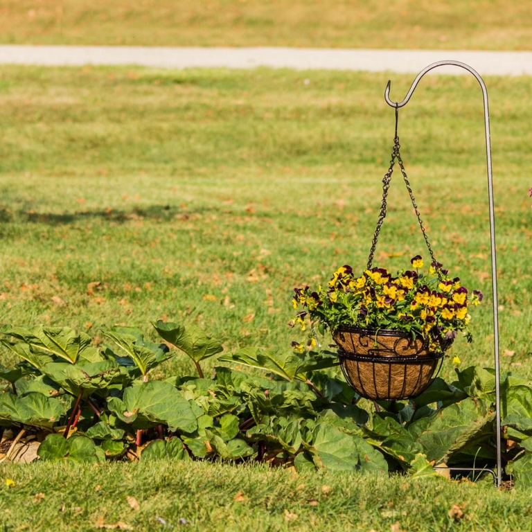 48 in. Black Steel Traditional Shepherd Hook - Peak Products (USA)